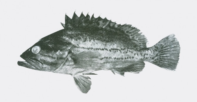 [글로벌-Biz 브리핑] 마카오 로렌스 호, 일본 카지노에 100억달러 투자 - 글로벌이코노믹